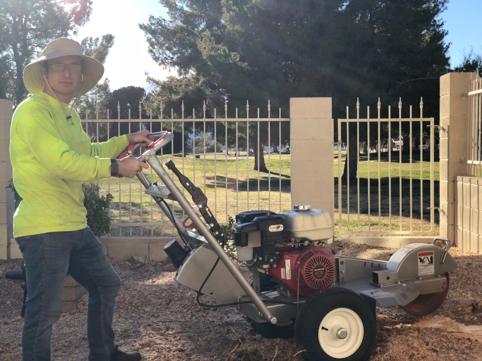 Stump Grinding in Las Vegas: How It Works and Why It Matters - A Cut ...
